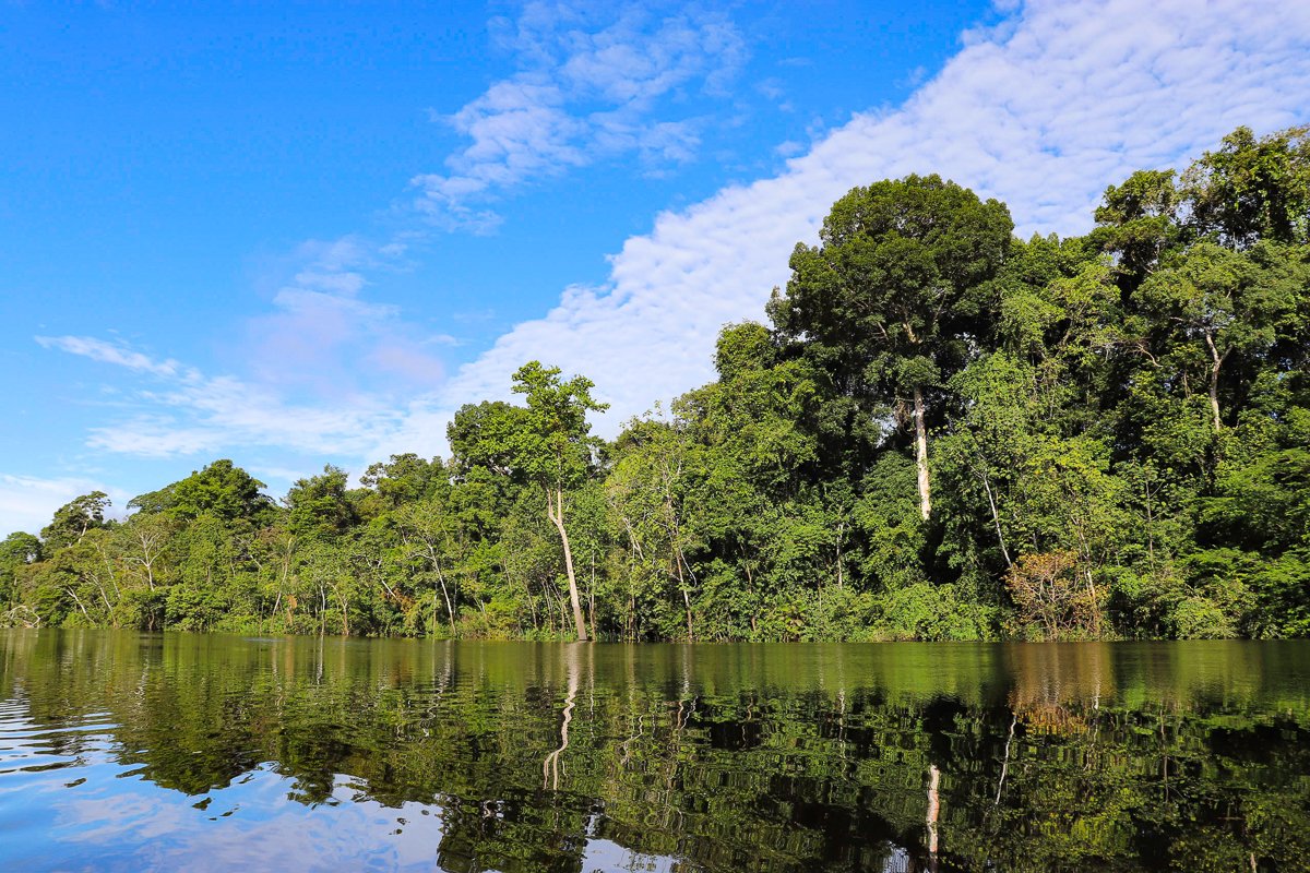 Peruvian Amazon Rainforest Tour - Next Trip...Loading